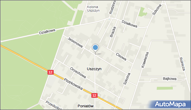 Jesionowa Poniatów, Ulica, 97-330